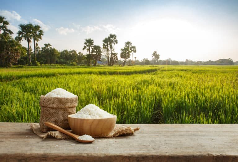 Unlocking Rice's Secrets: 20+ Facts of this Global Staple Food - Foodrinke